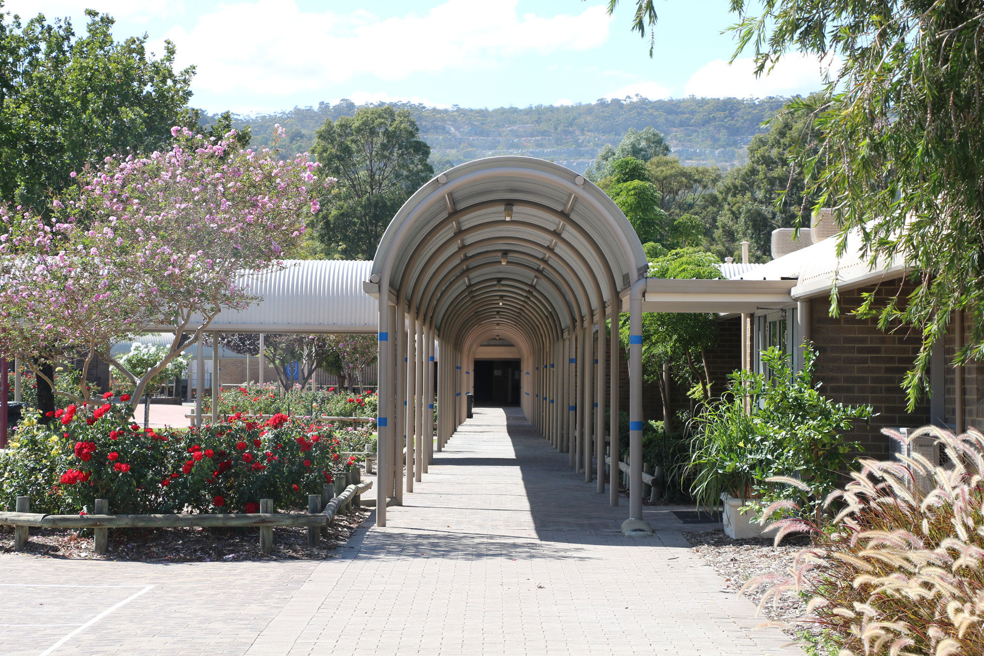 Enrol at Lumen